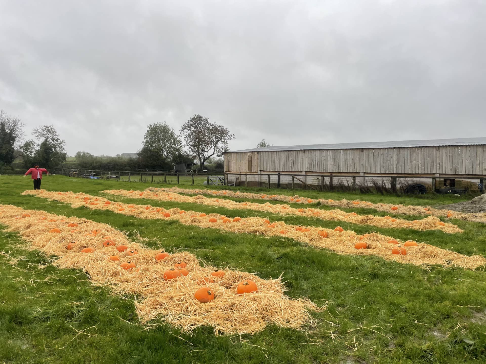 Halloween Event at Caragh Open Farm | Spooky Family Fun